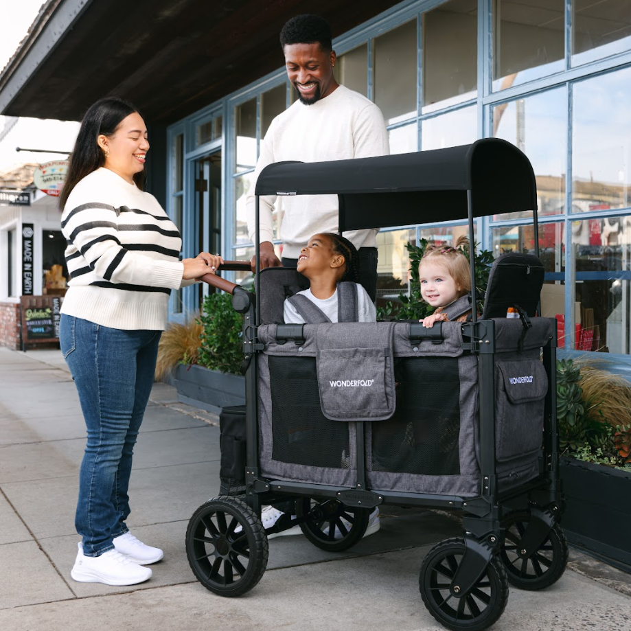 W2 Luxe Pro Double Seater Stroller Wagon (2 Seater) | WonderFold – Wonderfold - Canada