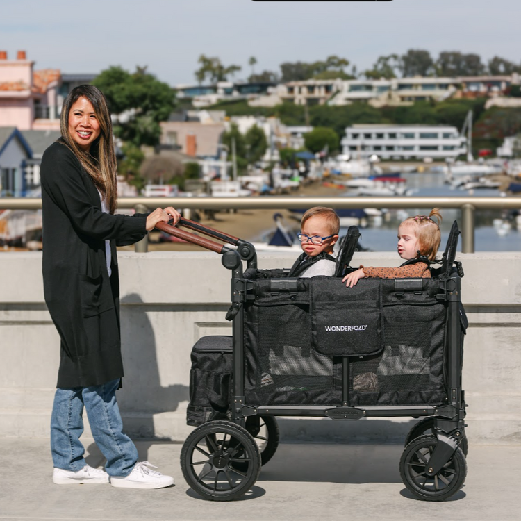W2 Luxe Pro Double Seater Stroller Wagon (2 Seater) | WonderFold ...